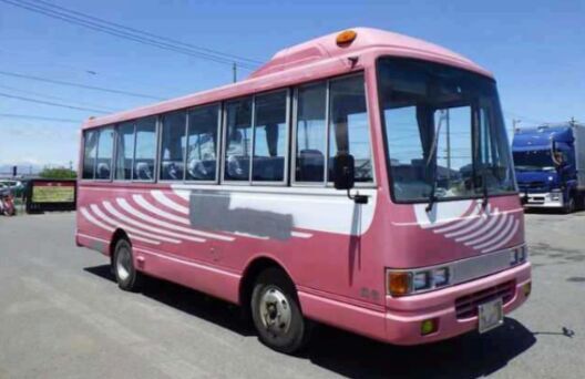 Hino RAINBOW prigradski autobus