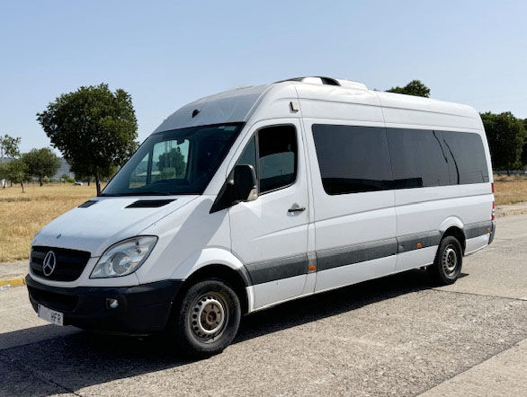 Mercedes-Benz Sprinter 315 putnički minibus