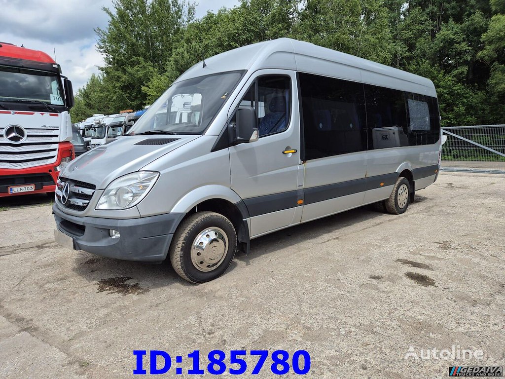 Mercedes-Benz Sprinter 516 - VIP - Avestark - 17 Seater putnički minibus