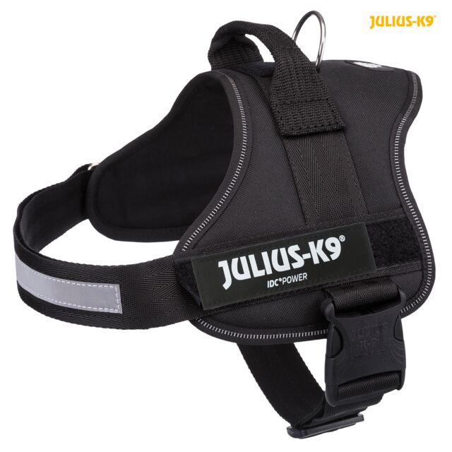 150501 AM JULIUS K9 2/L-XL 71-96CM