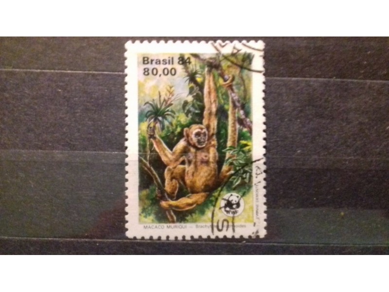 Brazil - Fauna WWF 19984.