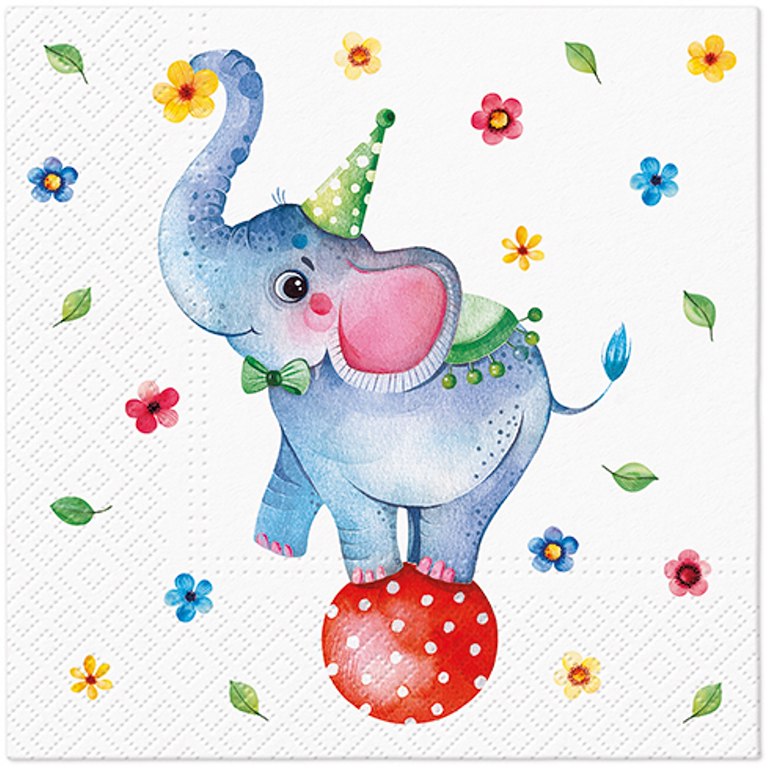 SALVETA EVERYDAY 33X33 20/1