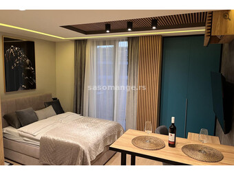 Studio Apartman Pleasure Beograd Savski Venac