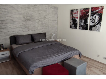 Studio Apartman Ateja Beograd Vracar