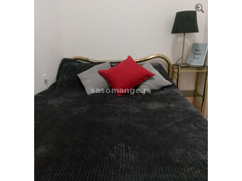 Studio Apartman Princess Beograd Centar