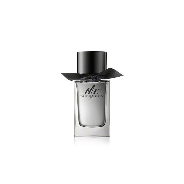 BURBERRY Mr. BURBERRY EDT 100ml
