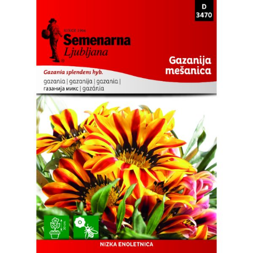 Seme Gazanija–mešavina Semenarna