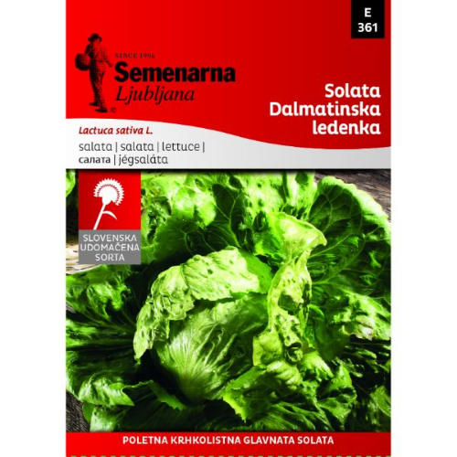 Seme salata dalmatinska ledenka Semenarna