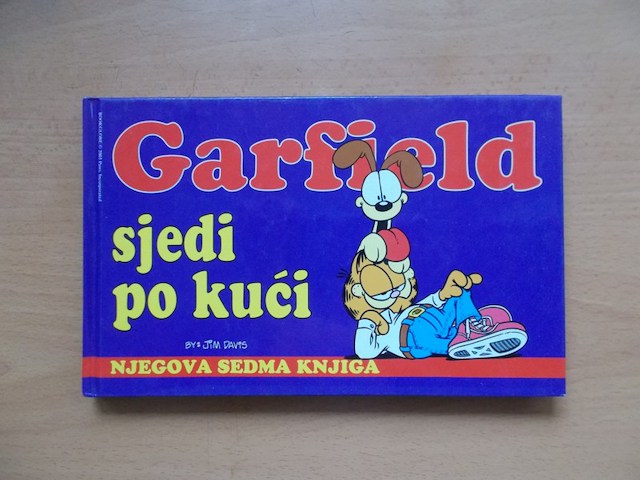 GARFIELD SJEDI PO KUCI - JIM DAVIS