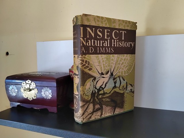 Insect Natural History, Insekti