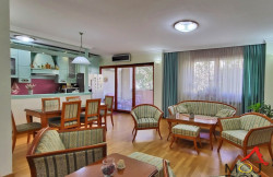 Stan,NOVI SAD,CENTAR,kv: 163, € 547000, ID: 1027410