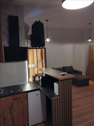 Apartman Taš- Pionir