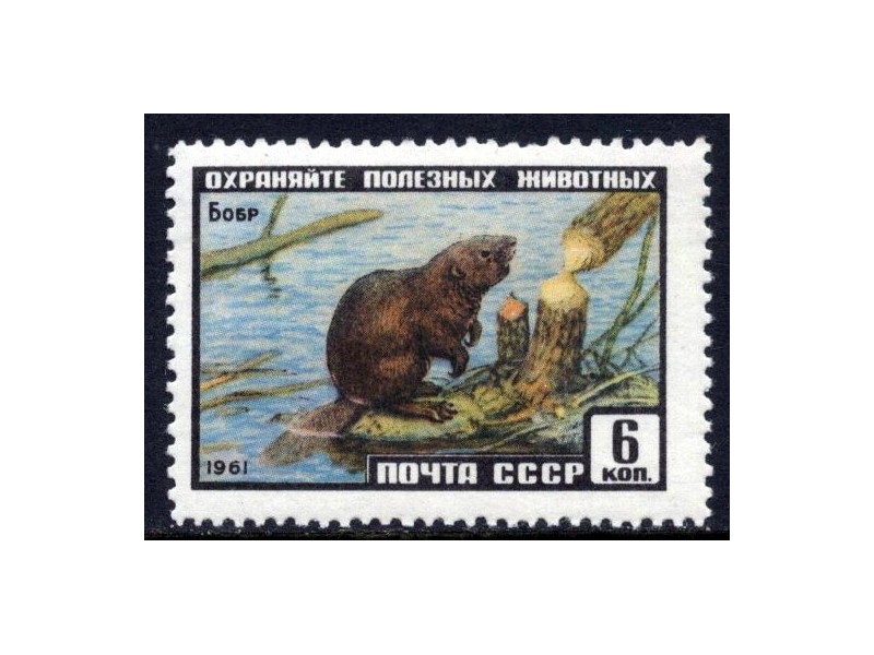 SSSR 1961. Fauna