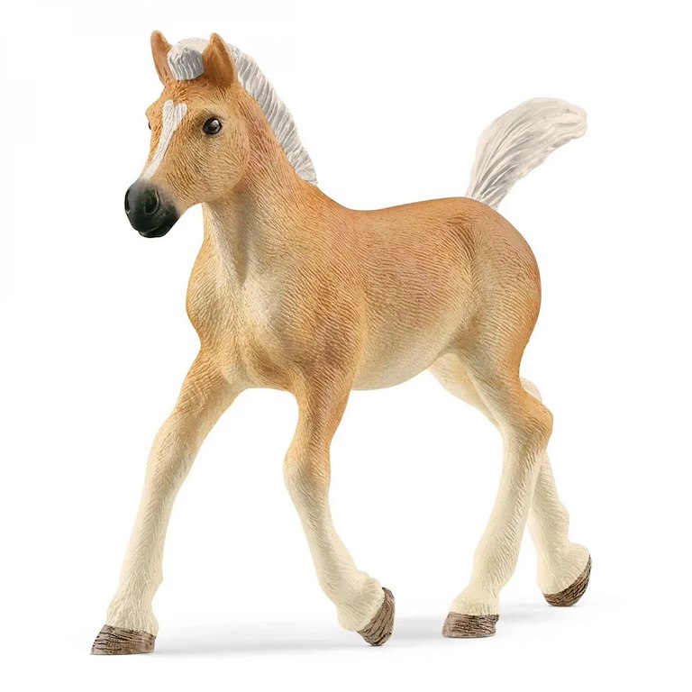 SCHLEICH HAFLINGER ZDREBE 7x3x9 cm 13951