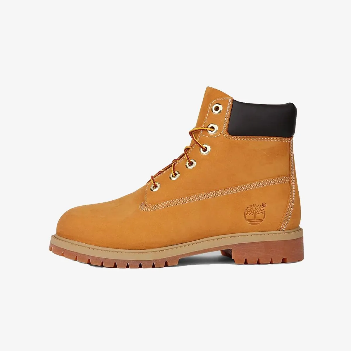 TIMBERLAND Cipele 6" PREMIUM WATERPROOF