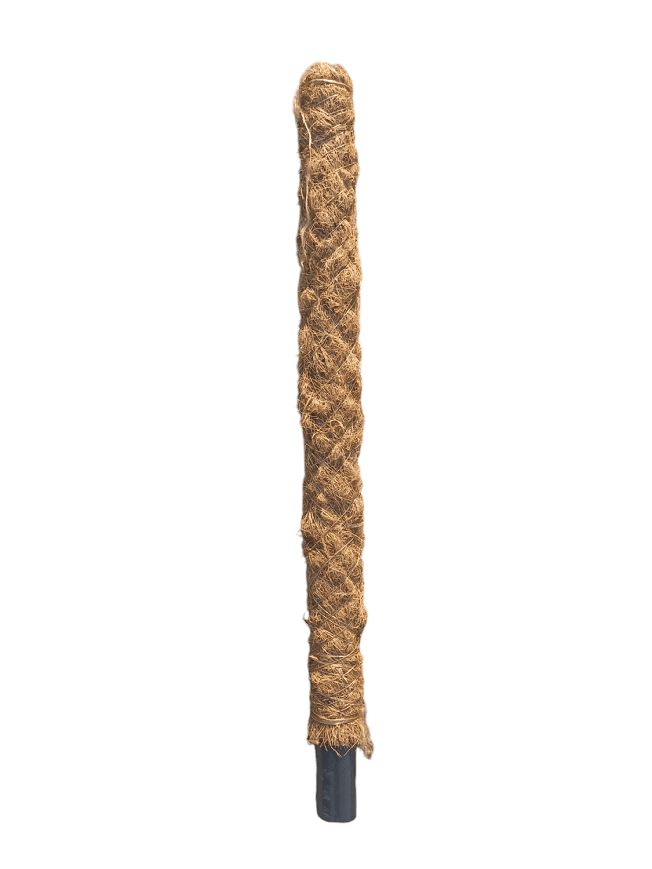 štap COCO 120cm NL