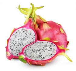 Dragon fruit (sadnica)