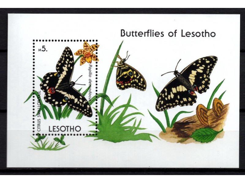 Lesotho 1990. Blok br. 71, Fauna, Leptiri