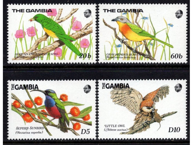 Gambia 1981. Fauna, Ptice