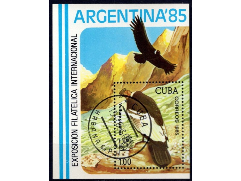 Argentina 1985.