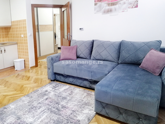 Trosoban Apartman Cvetkovi - Vrnja ka Banja - Centar