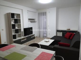 Apartman Lovac 3 Zlatibor - Apartman za 4 osobe cena 45