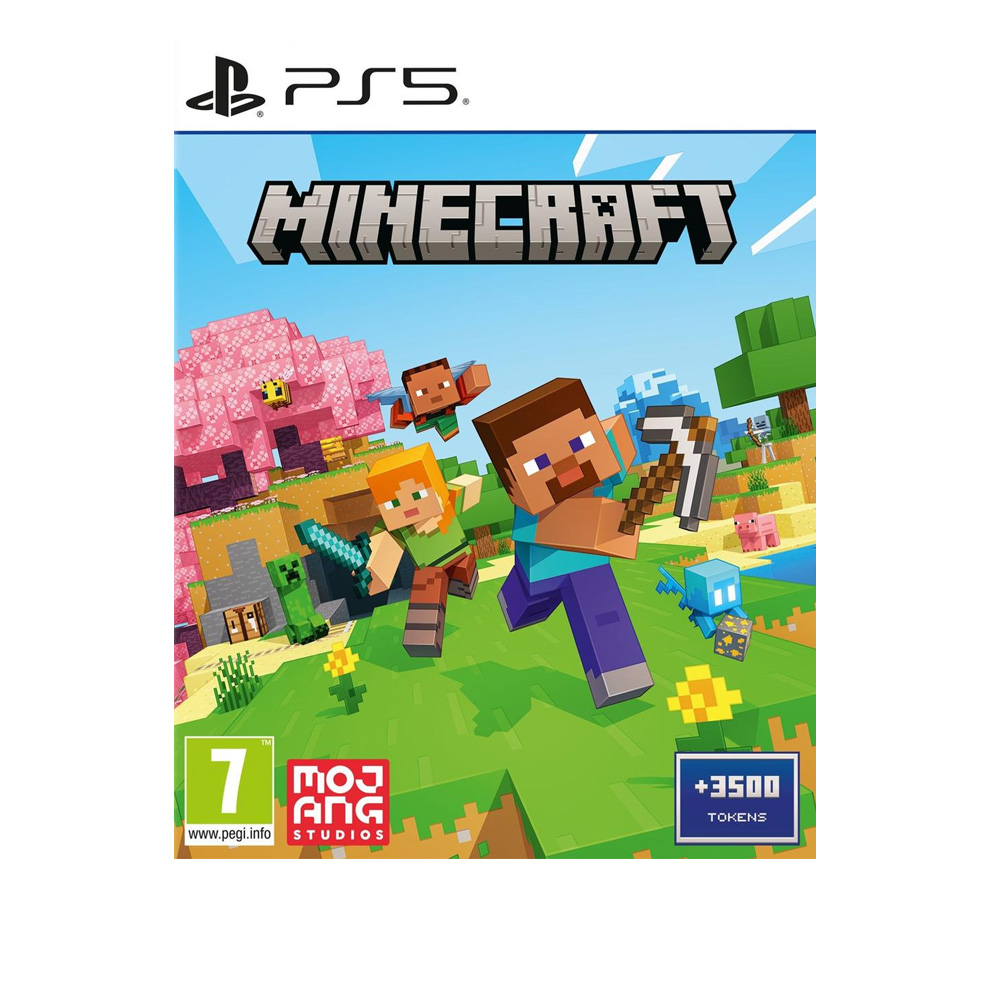 PS5 Minecraft