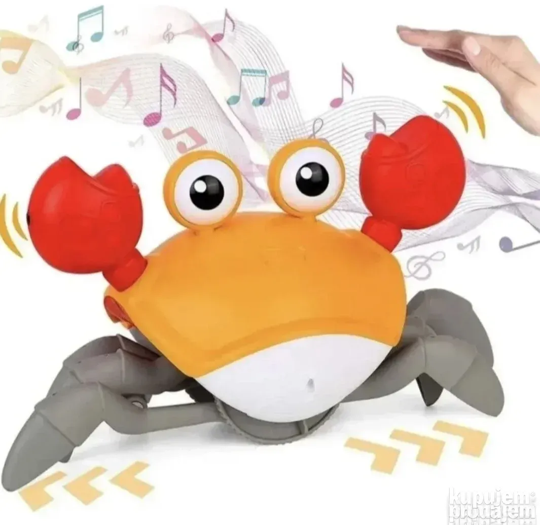 Kraba koja Hoda
