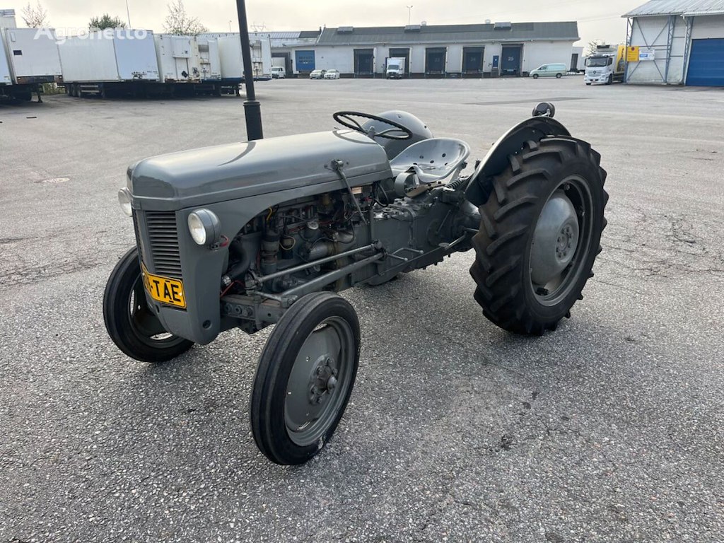 Massey Ferguson 1955 , in top condition traktor točkaš