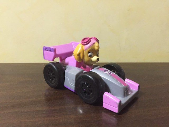 Paw Patrol