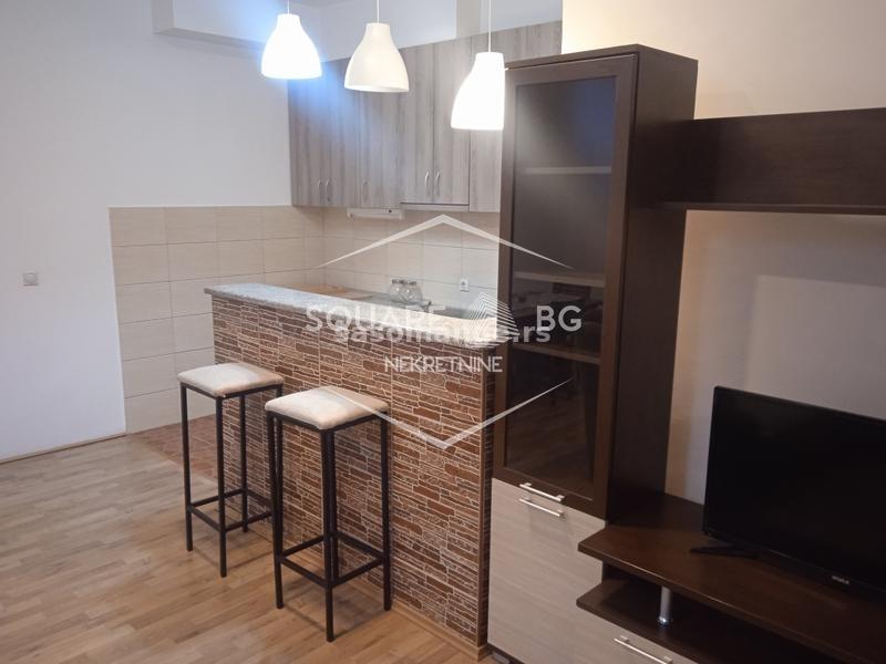 Slavujev venac, 3.0 namešten, pet friendly ID#3485 650 €