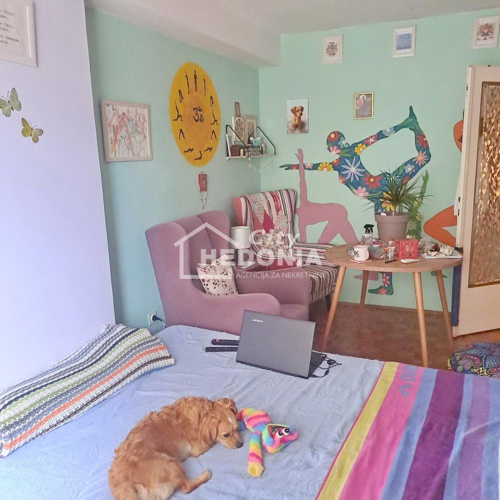 Botanička bašta, 3.0, funkcionalan, svetao ID#9601 207.000 €