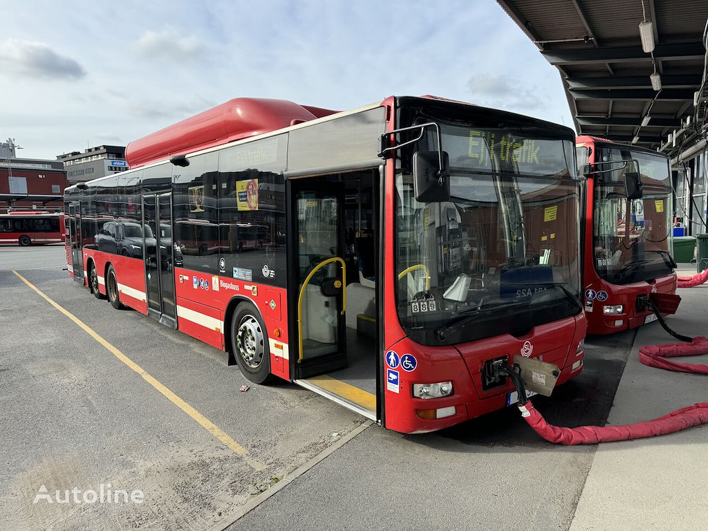 MAN Lions City CNG EEV (15 BUSES) gradski autobus