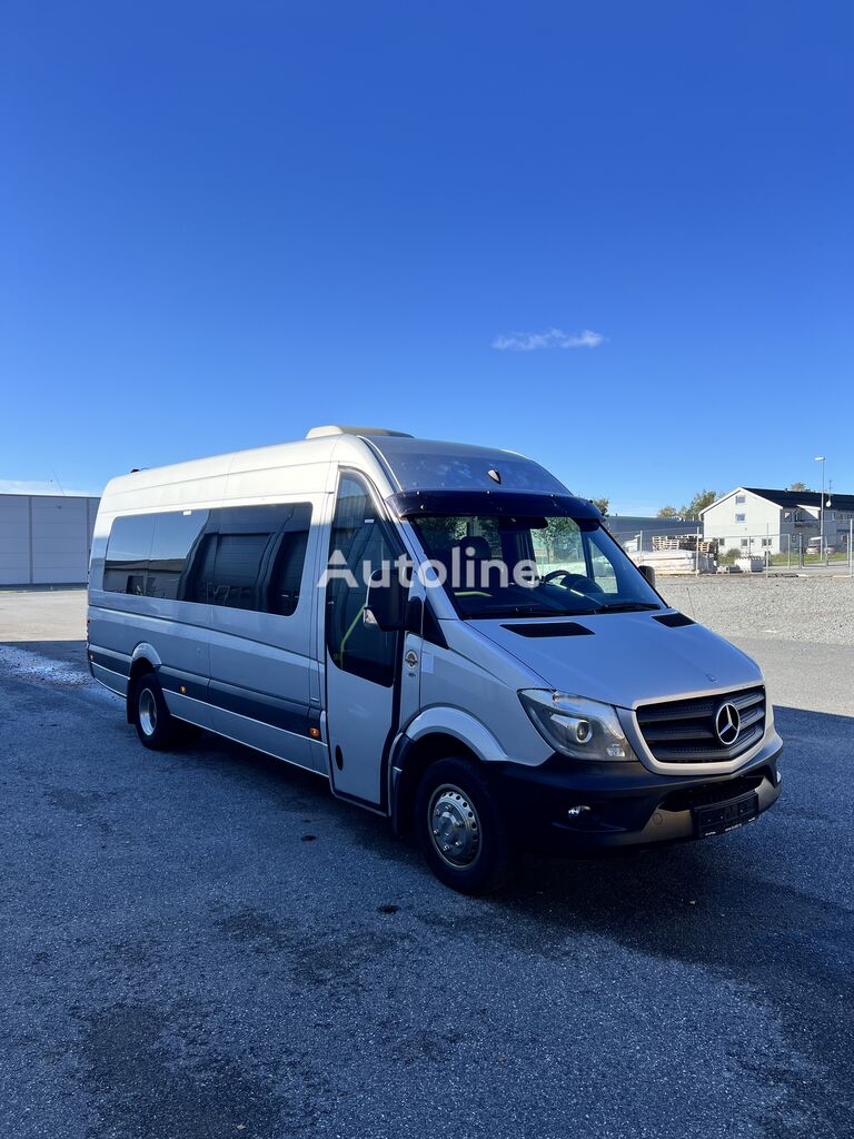 Mercedes-Benz Sprinter 519 putnički minibus