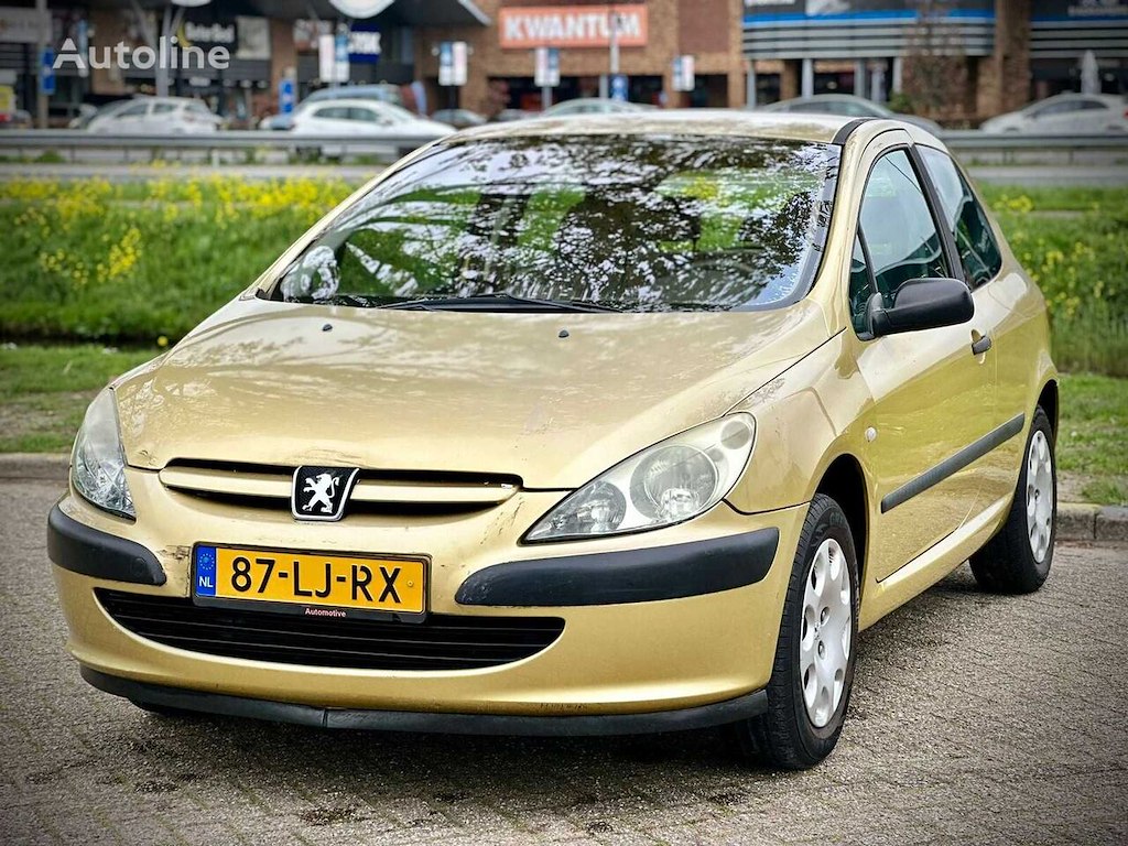 Prodaje se Peugeot 307 hečbek na aukciji