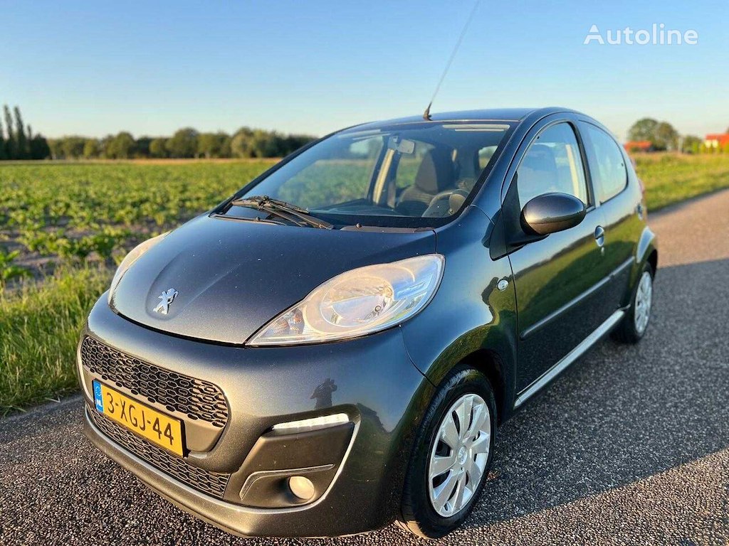 Prodaje se Peugeot 107 hečbek na aukciji