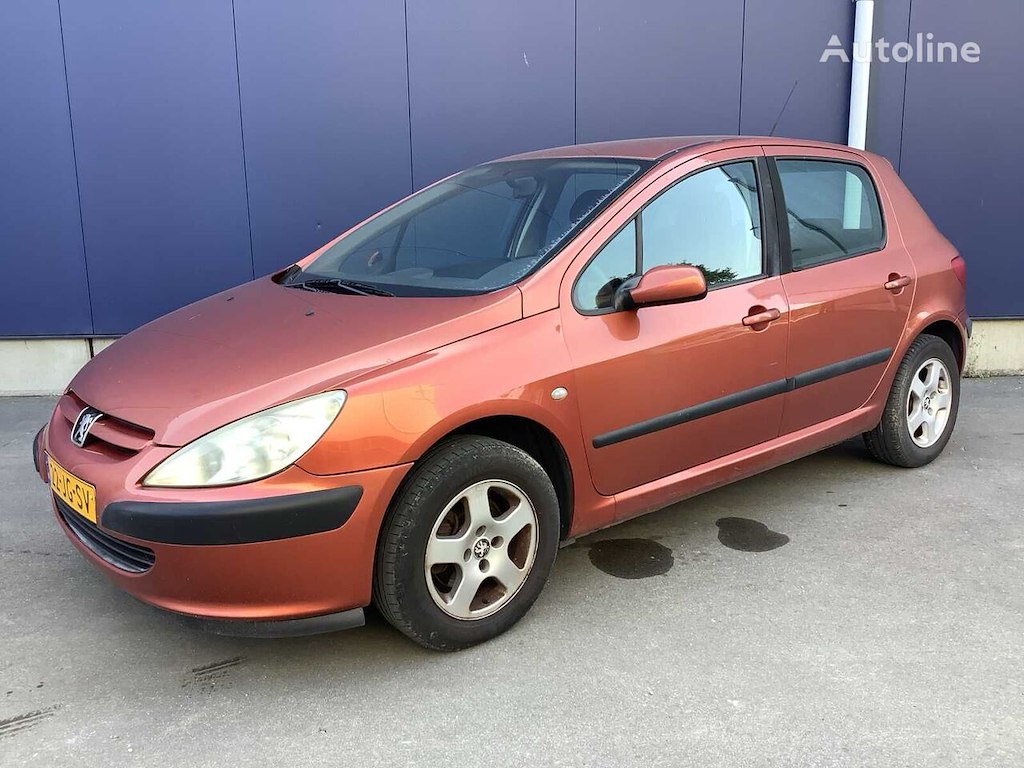 Prodaje se Peugeot 307 hečbek na aukciji