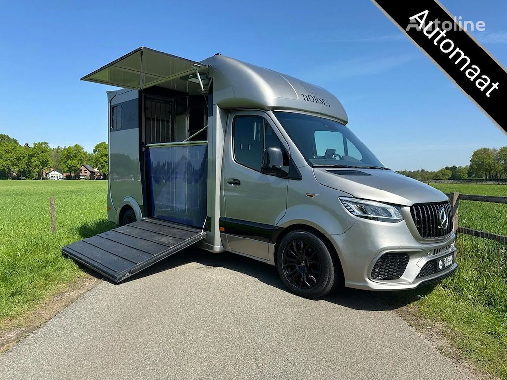 Mercedes-Benz Sprinter 315 AMG 2-paards paardenvrachtwagen B-rijbewijs vozilo za prevoz konja