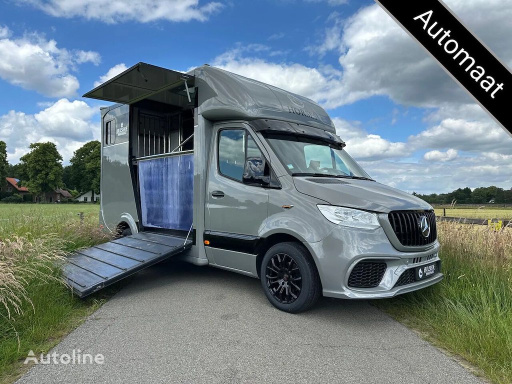 Mercedes-Benz Sprinter 314 AMG 2-paards paardenvrachtwagen B-rijbewijs vozilo za prevoz konja