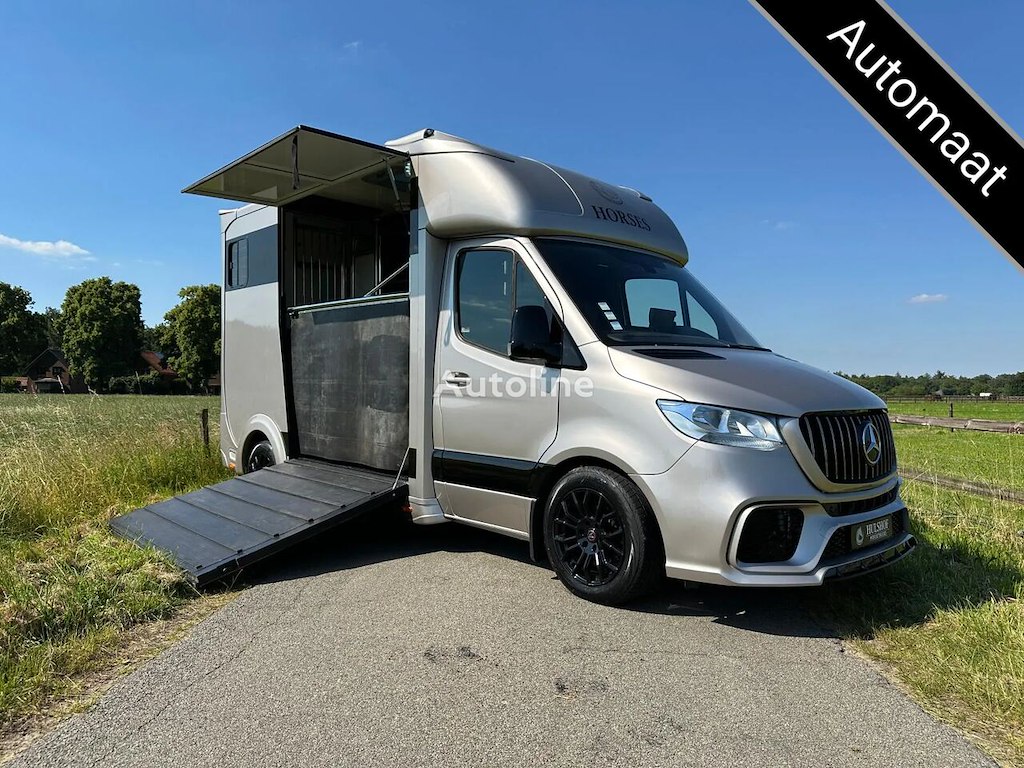 Mercedes-Benz Sprinter 314 AMG 2-paards paardenvrachtwagen B-rijbewijs vozilo za prevoz konja