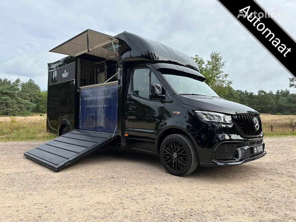 Mercedes-Benz Sprinter 319 AMG 2-paards paardenvrachtwagen B-rijbewijs vozilo za prevoz konja