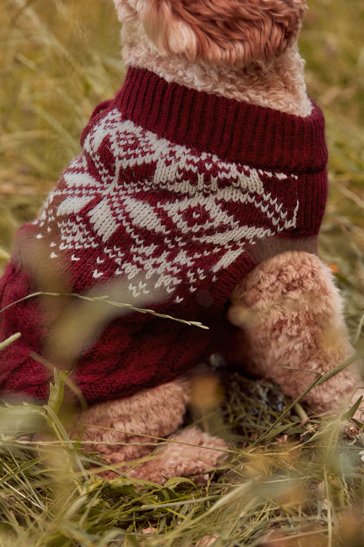 Red Fairisle Christmas Dog Jumper