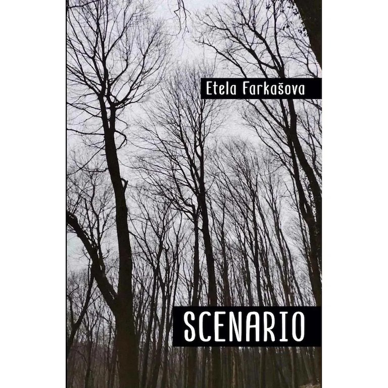 SCENARIO