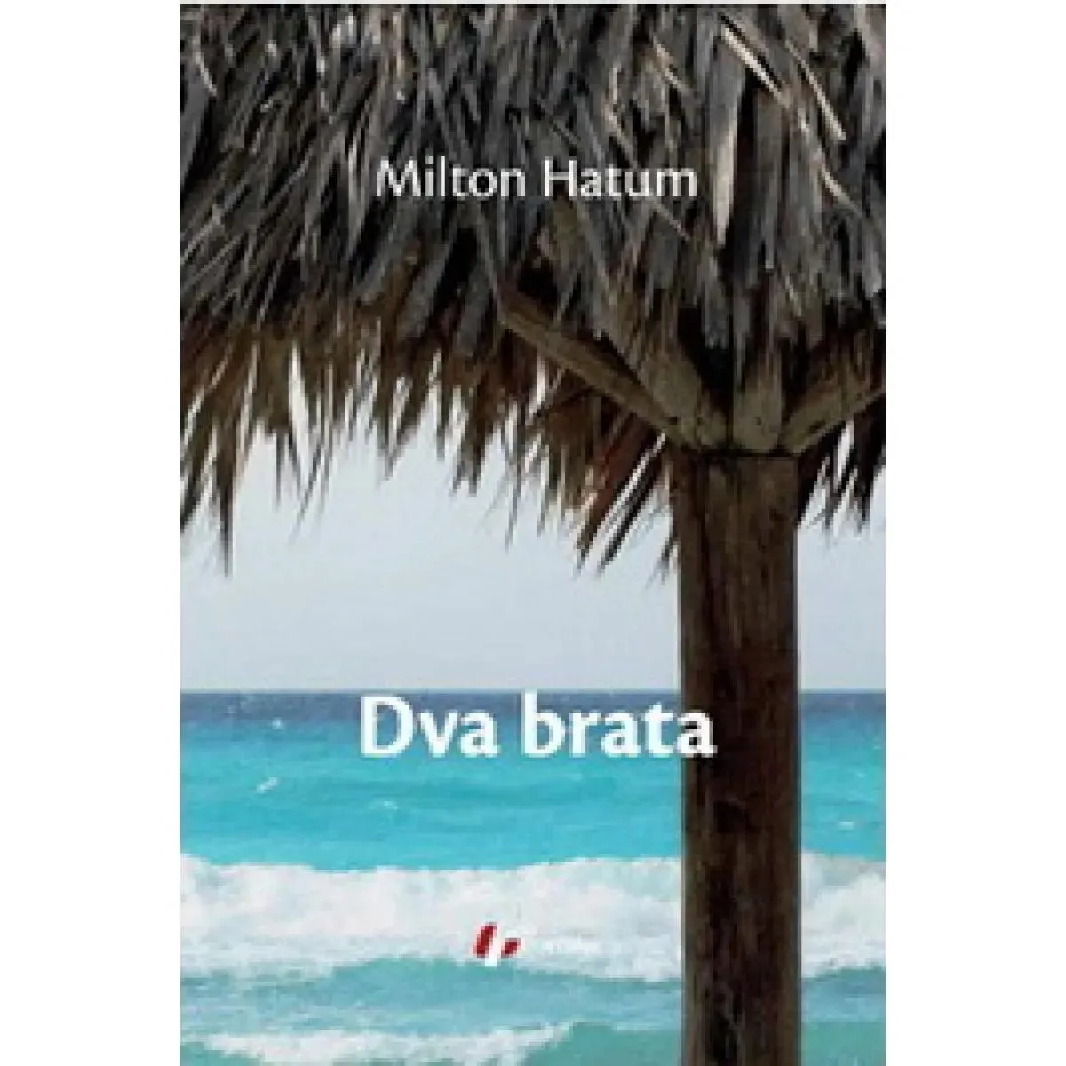 DVA BRATA