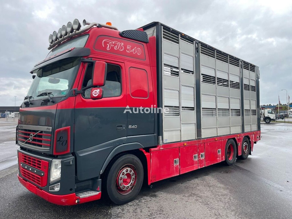 Volvo FH540 6x2*4 Globetrotter XL Livestock Euro 5 kamion za prevoz stoke