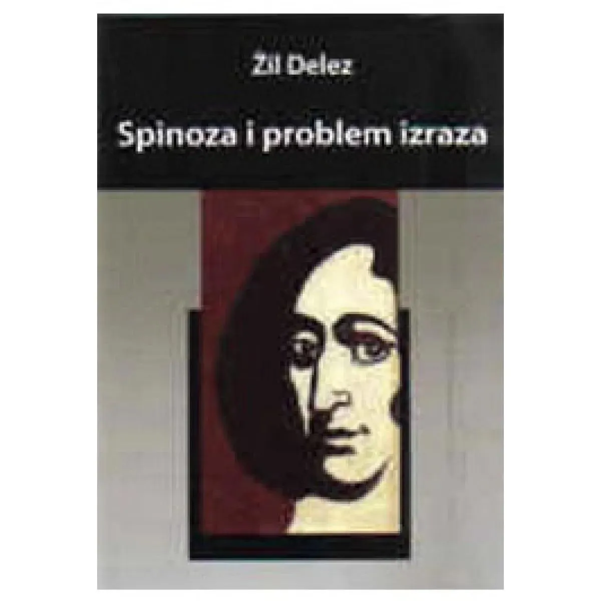 SPINOZA I PROBLEM IZRAZA