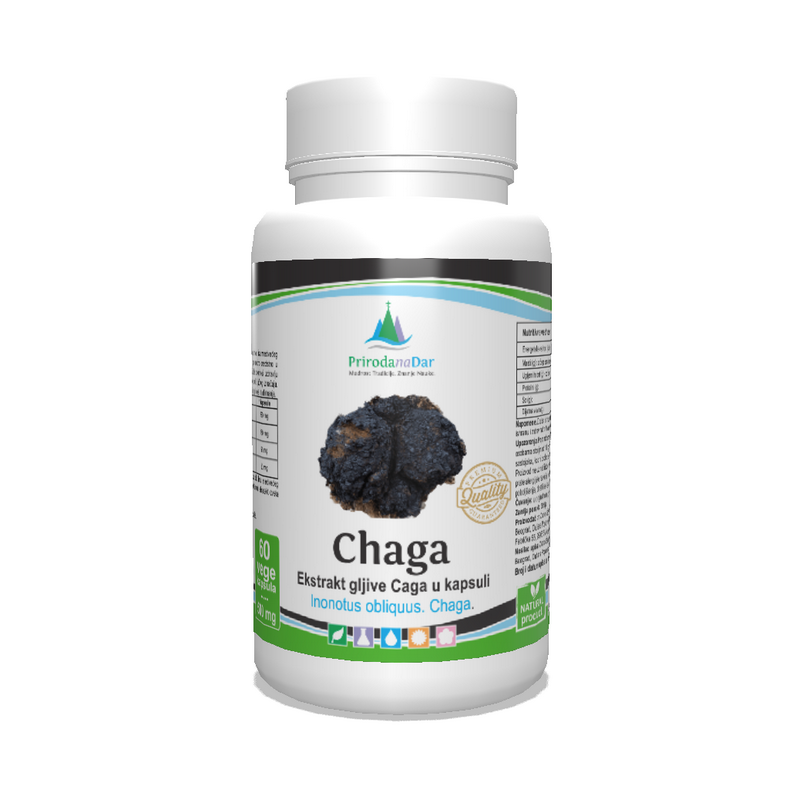 EKSTRAKT CHAGA GLJIVE ((Inonotus obliquus) 500mg 60 KPS PRIRODA NA DAR