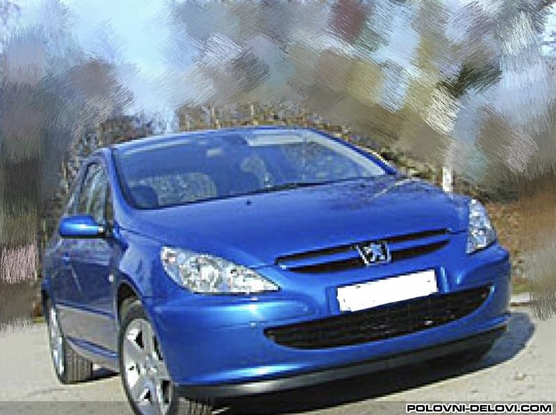 Peugeot 307 Benzin Dizel Trap I Vesanje