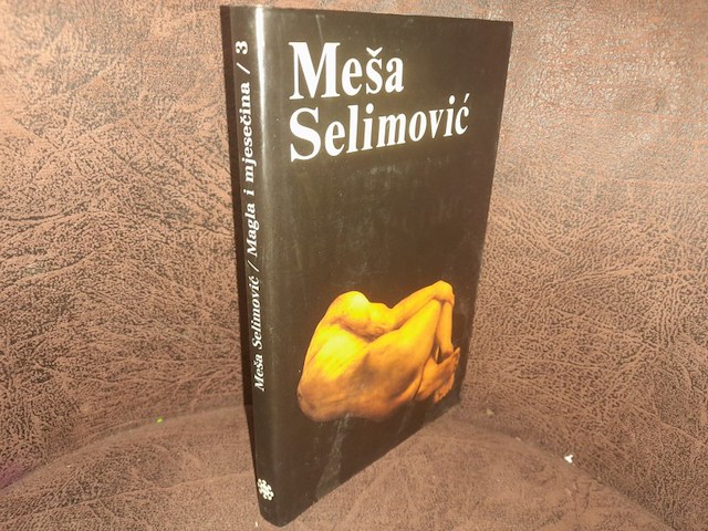 Meša Selimović Magla i mjesečina