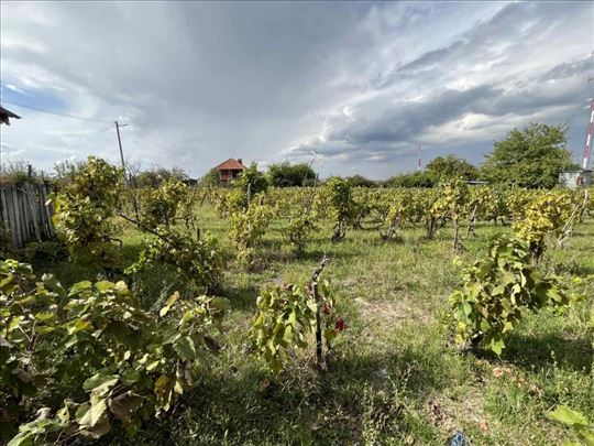 Vikendica sa prelepim placem i pogledom na Jagodin